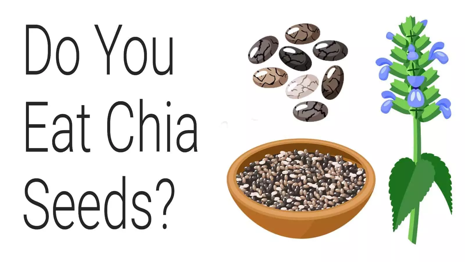 biji chia