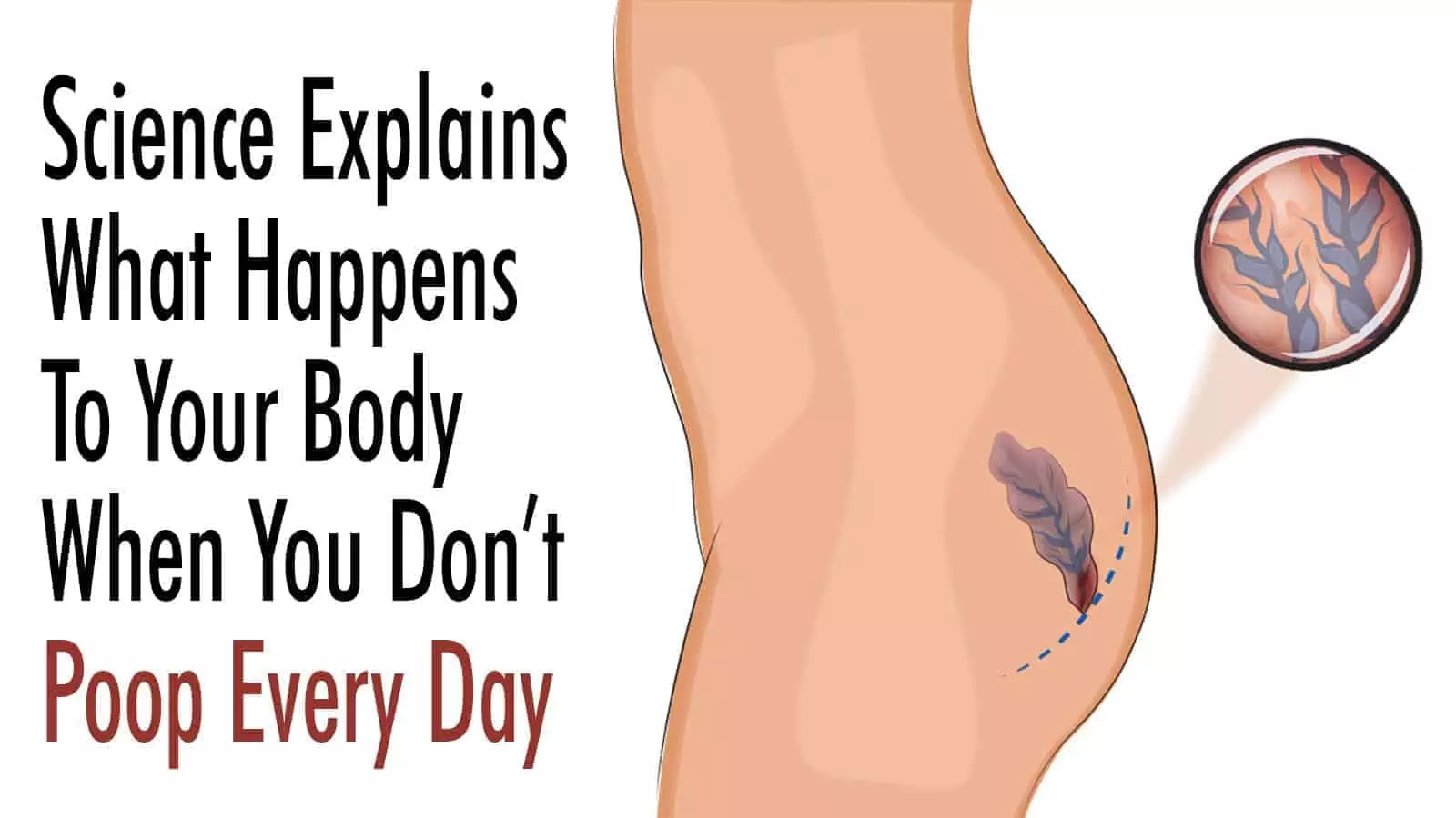 Die Wissenschaft erklärt, was mit Ihrem Körper passiert, wenn Sie nicht jeden Tag kacken