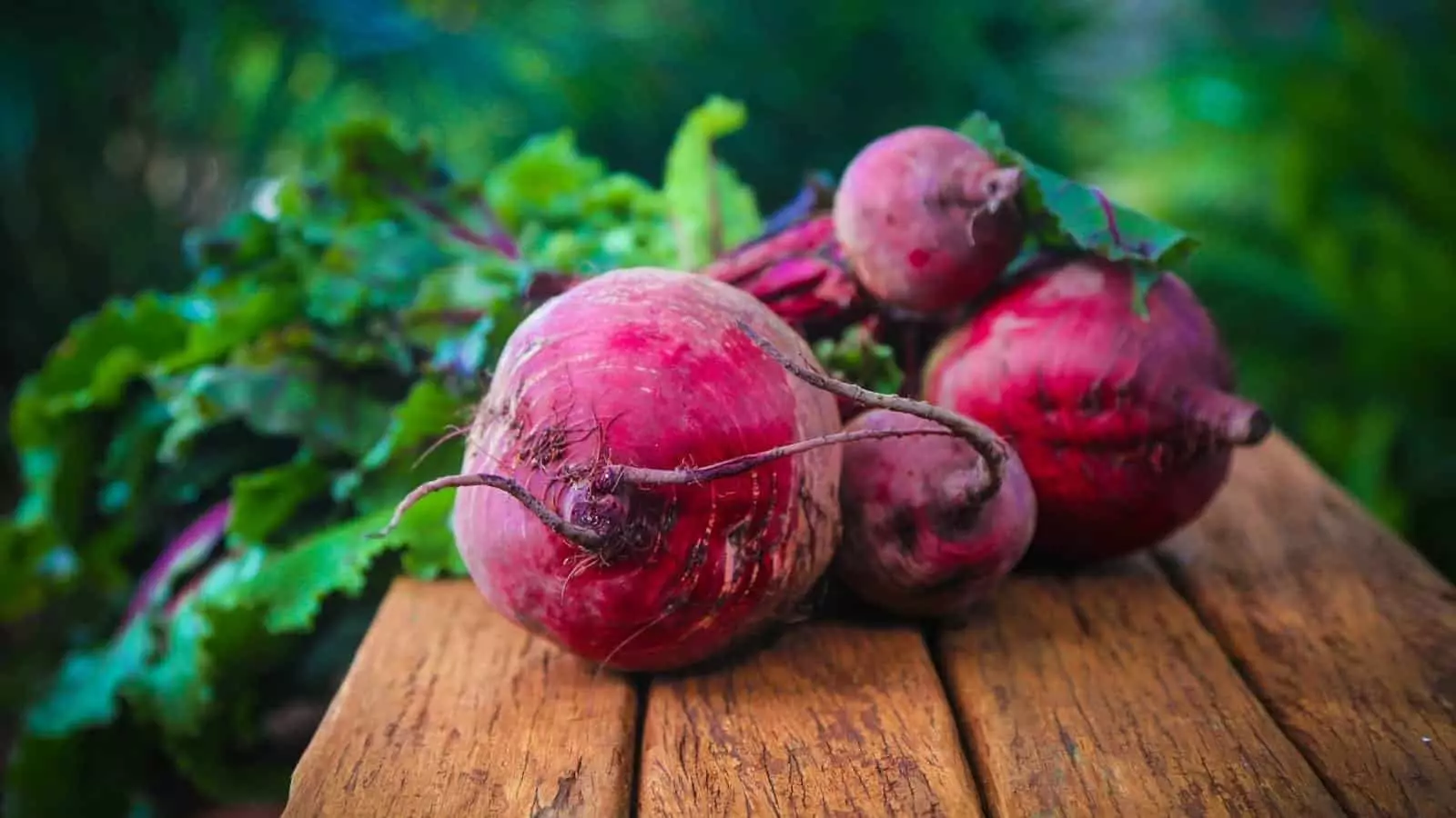 izinzuzo ze-beetroot