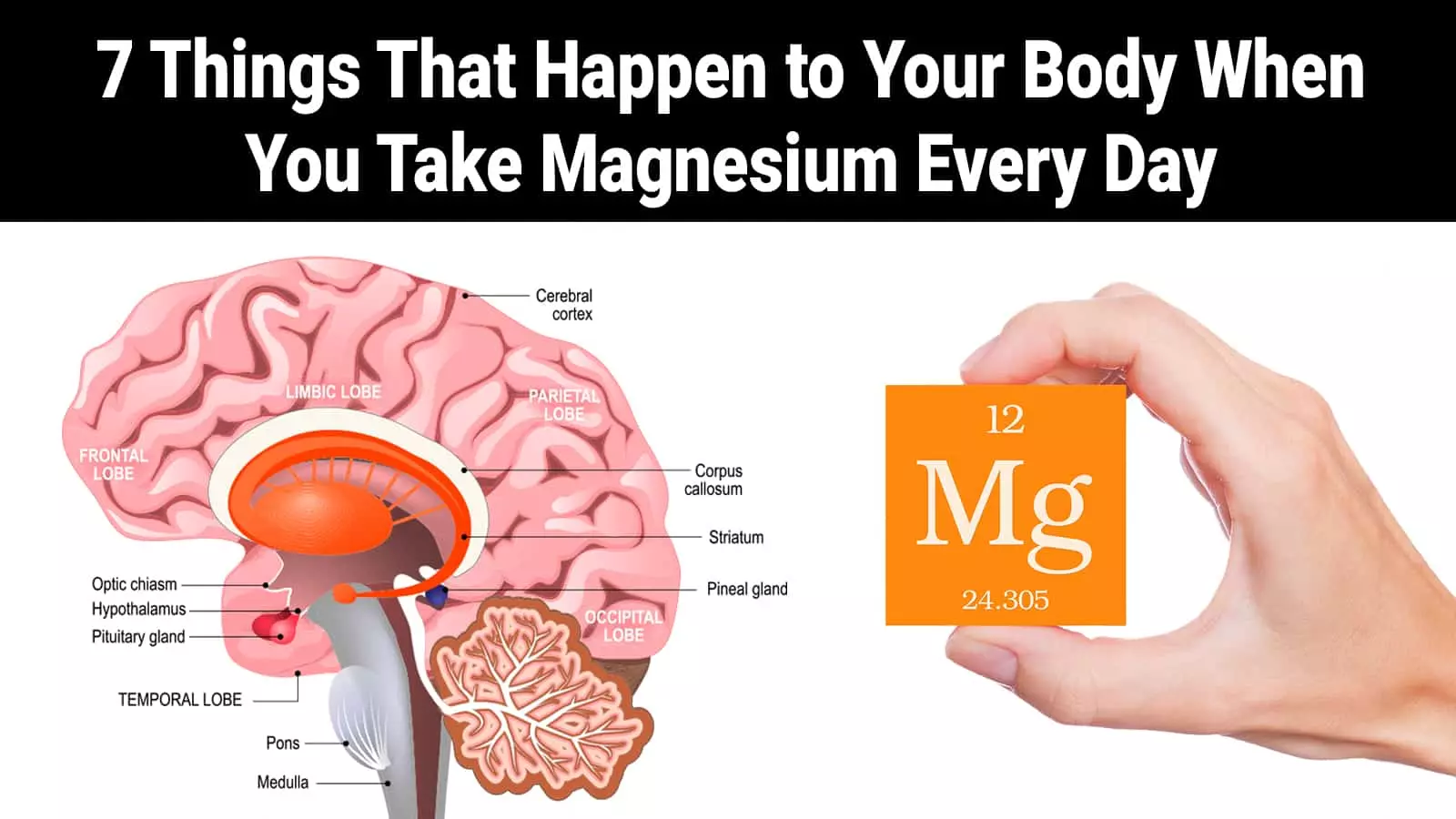 magnesium