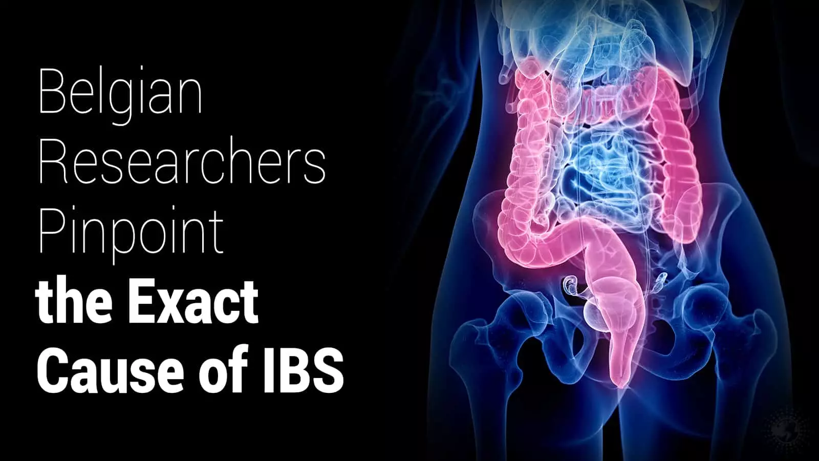I ricercatori belgi individuano la causa esatta dell'IBS