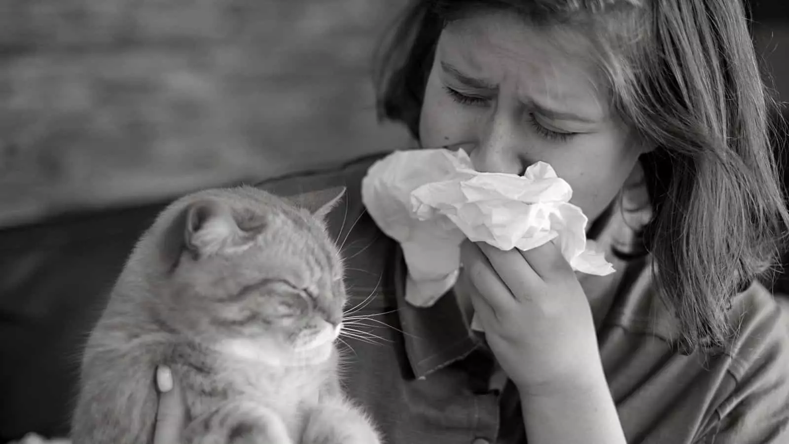 Katzenallergie behandlung